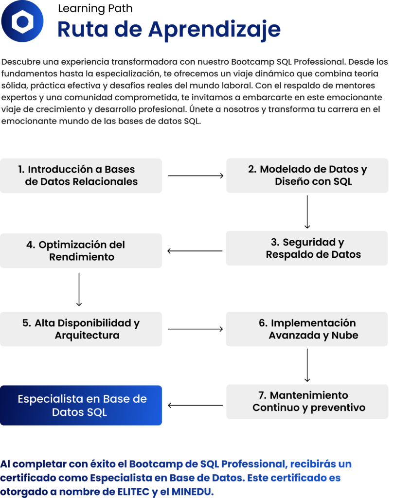 SQL Professional - ELITEC